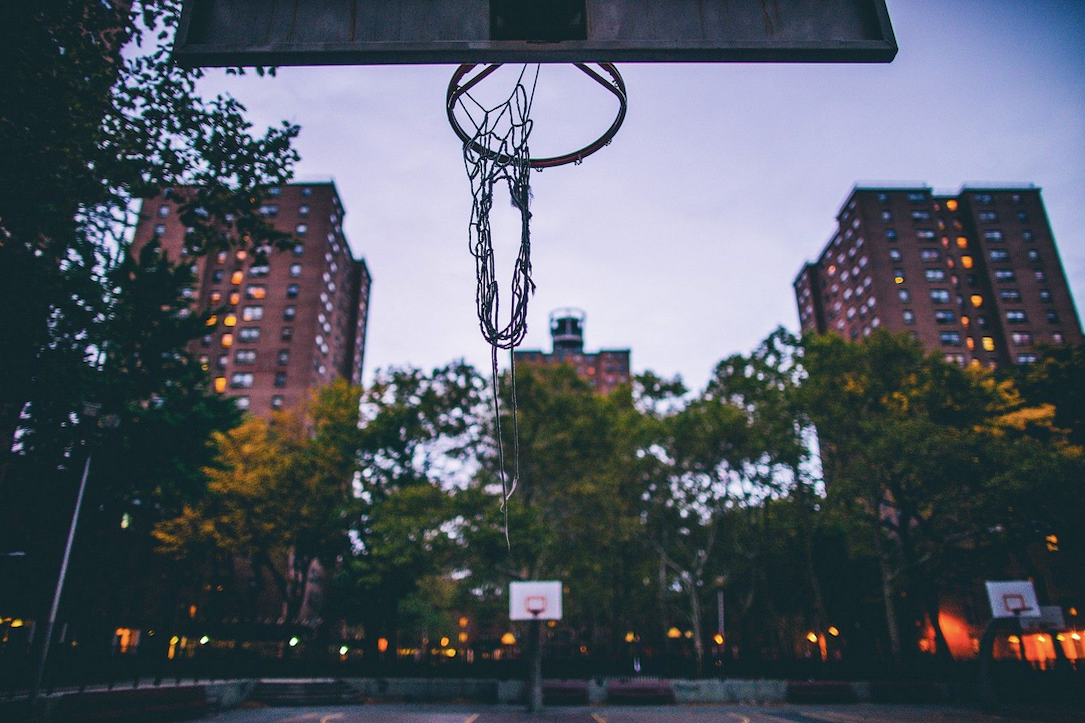 Bra – ELITE-N-TITLED